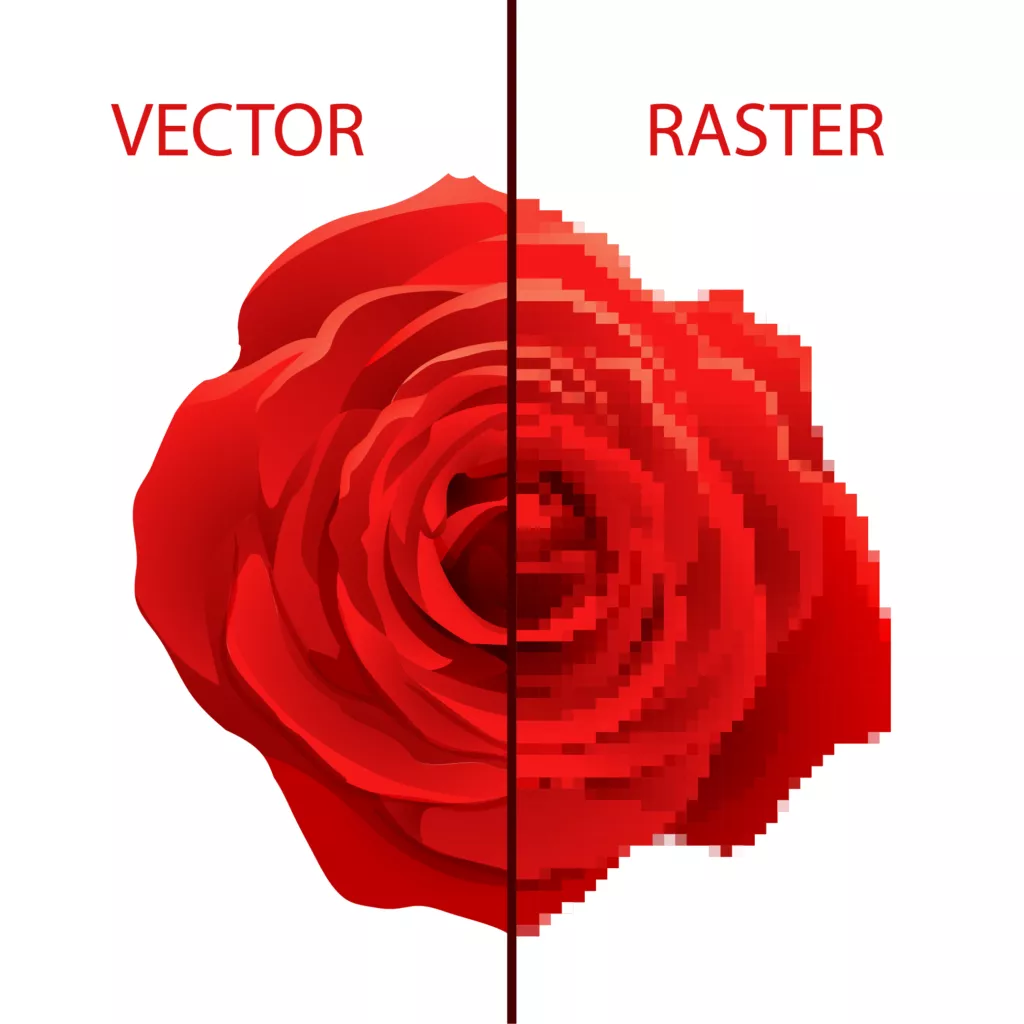 Which Graphic File Format is Best: Vector and Raster Images - Tell Your ...